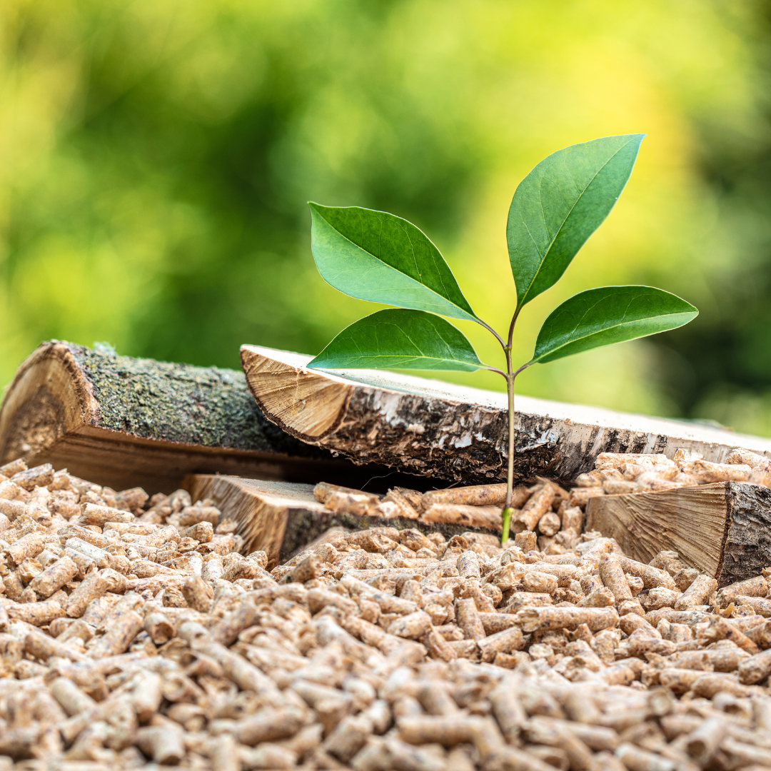 La finalisation du compendium relatif au projet New-C-Land de ...